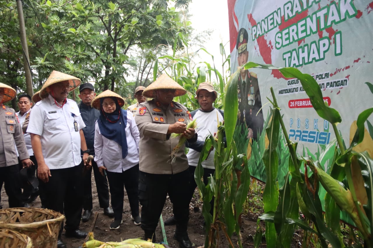 Kapolres Kepulauan Seribu Ikuti Panen Raya Jagung Serentak Tahap 1 di Pulau Karya - Tribratanews ...